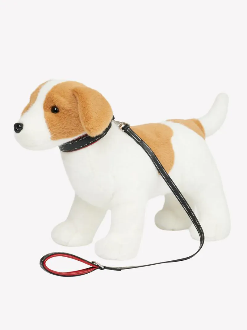 Toy dog on lead store